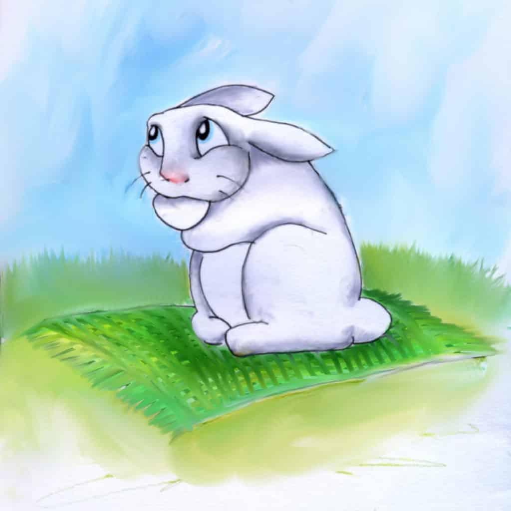 Little Bunny Asks Why – The Story Home Children's Audio Stories