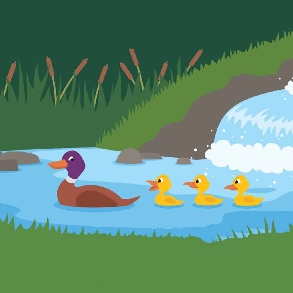 The Ugly Duckling - The Story Home Children's Audio Stories